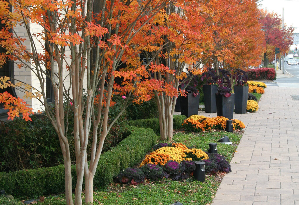 Seasonal Color Plantings & Care | Hicks Landscapes, Westbury NY
