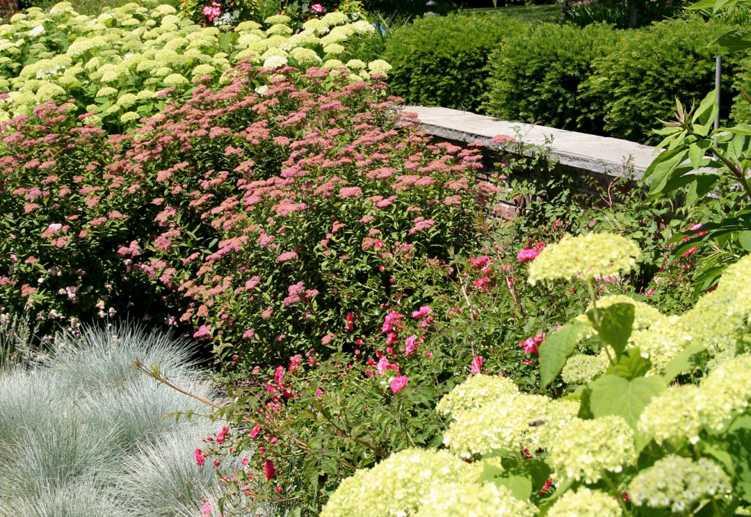 Garden Landscapes & Plantings - From Top Rated Hicks Landscapes