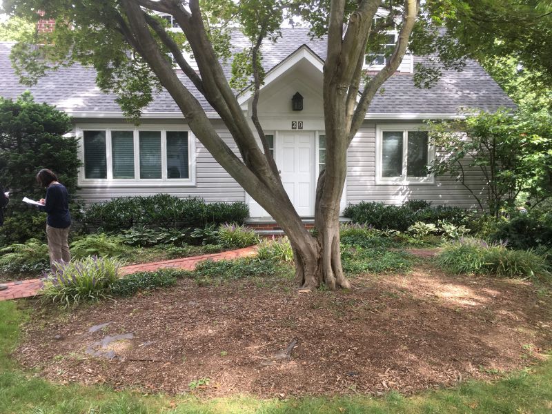 Landscaping Design Story: Paradise Found - Hicks Landscapes