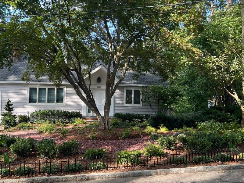 Landscaping Design Story: Paradise Found - Hicks Landscapes